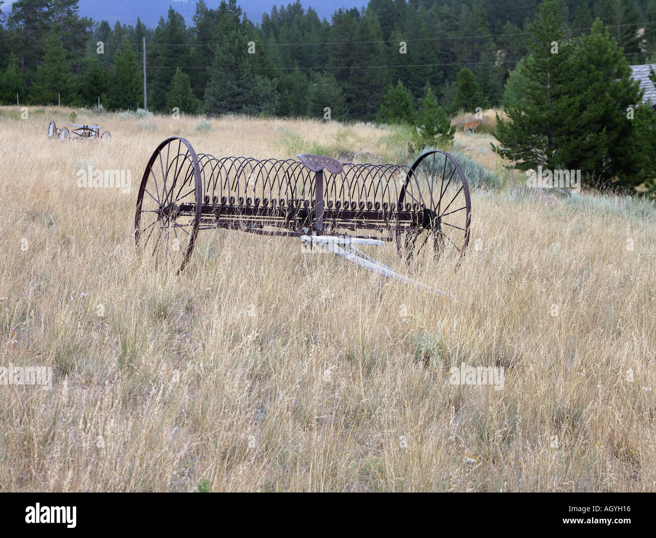 Hay Rake historical, antique, hay, rake, farming, machine Stock Photo ...
