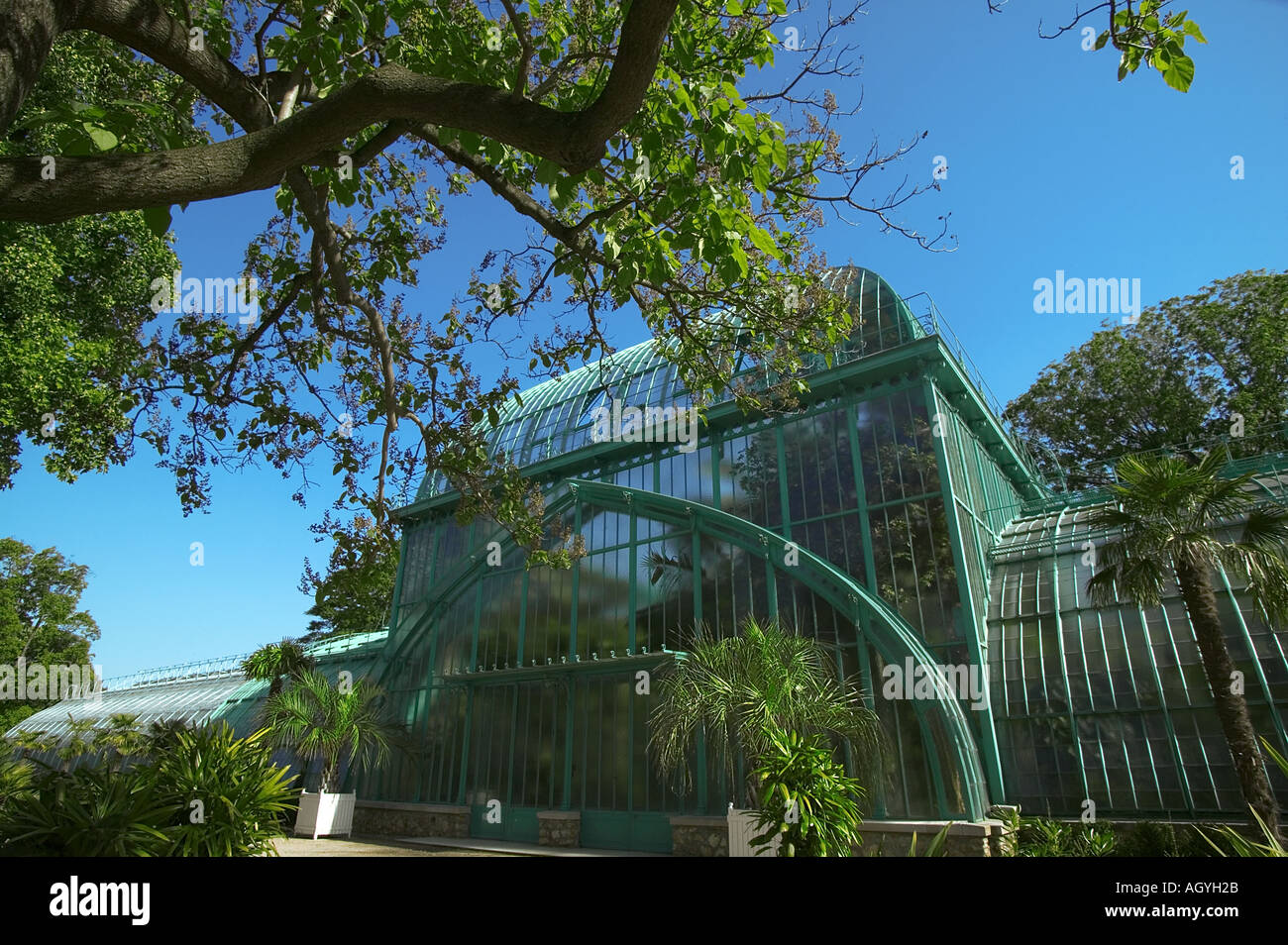 France - Greenhouse of Auteuil at Paris Stock Photo - Alamy