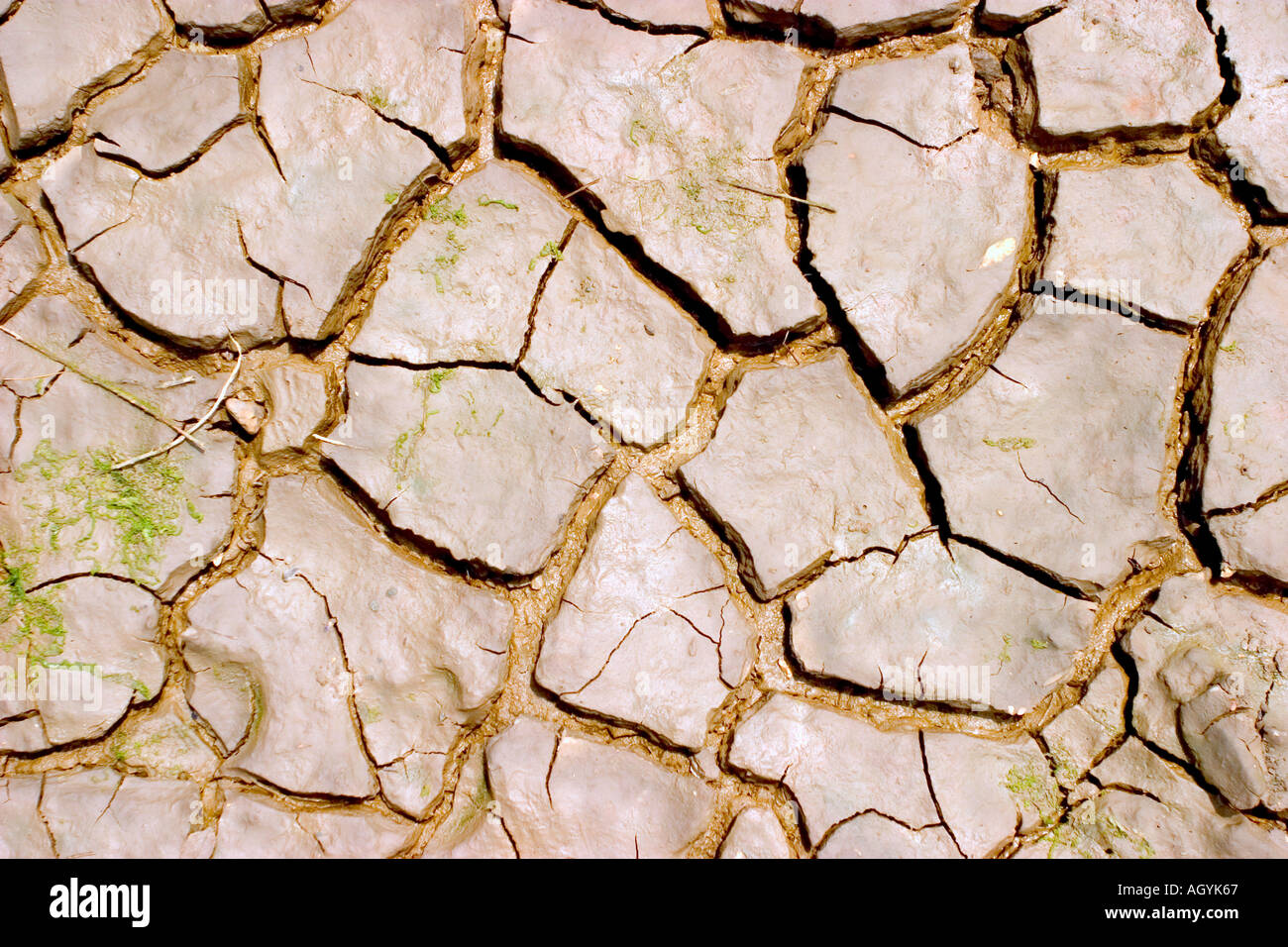 Close up of the cracked surface of parched earth Stock Photo - Alamy