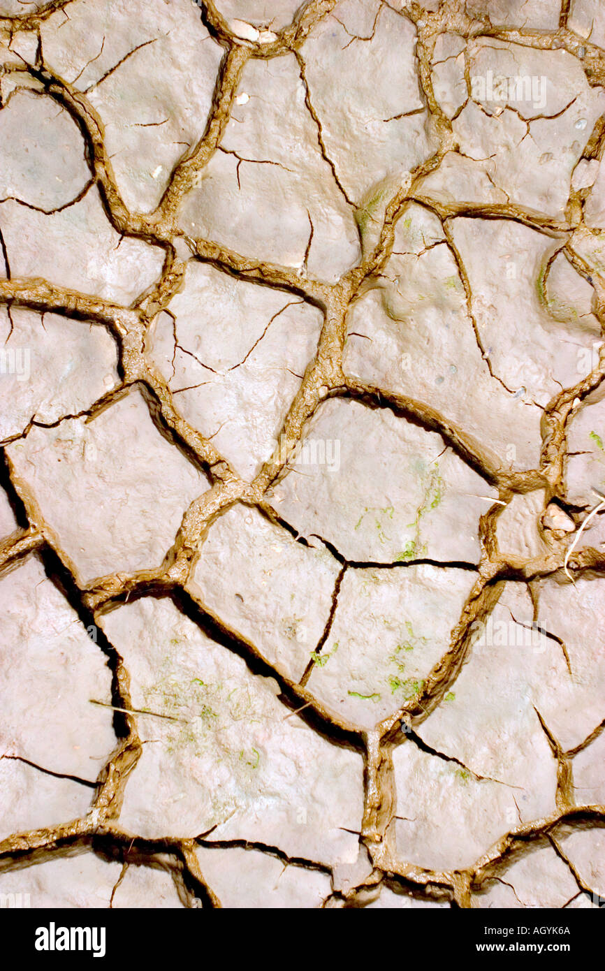 Close up of the cracked surface of parched earth Stock Photo - Alamy