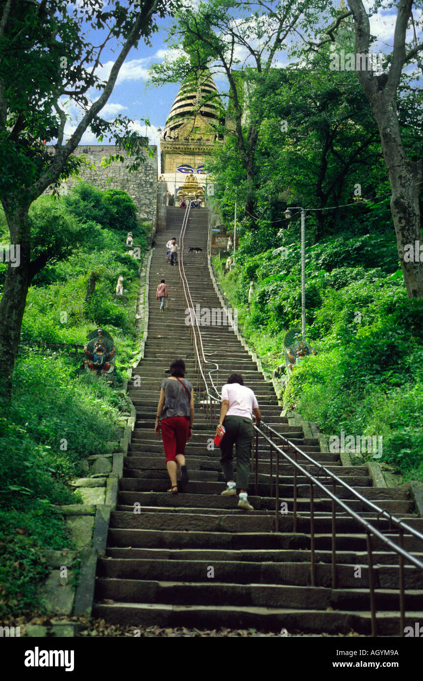 Tiered steps stairs hi-res stock photography and images - Alamy