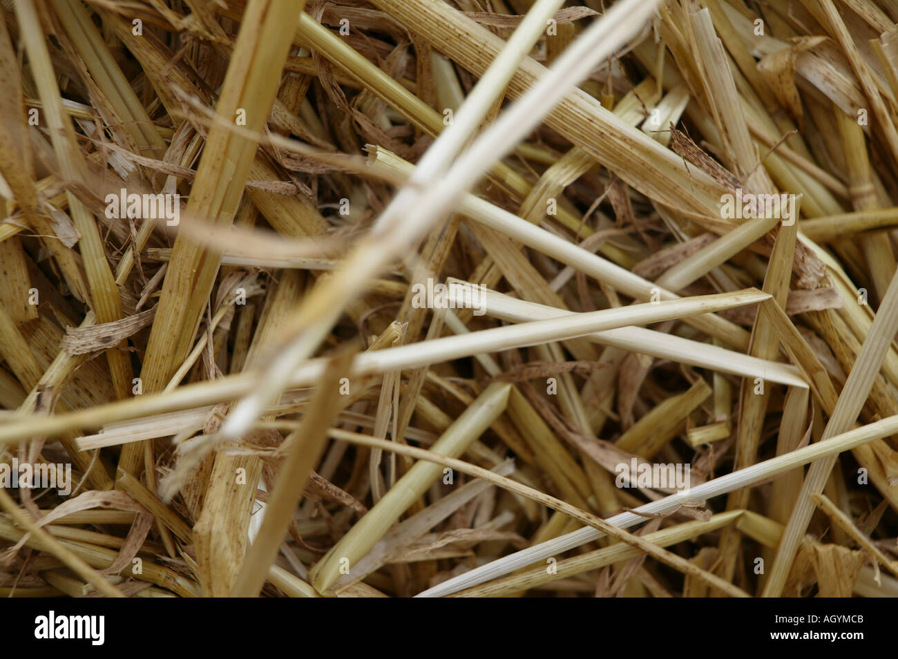 horizontal detail of agricultural straw bound in a bale Stock Photo - Alamy