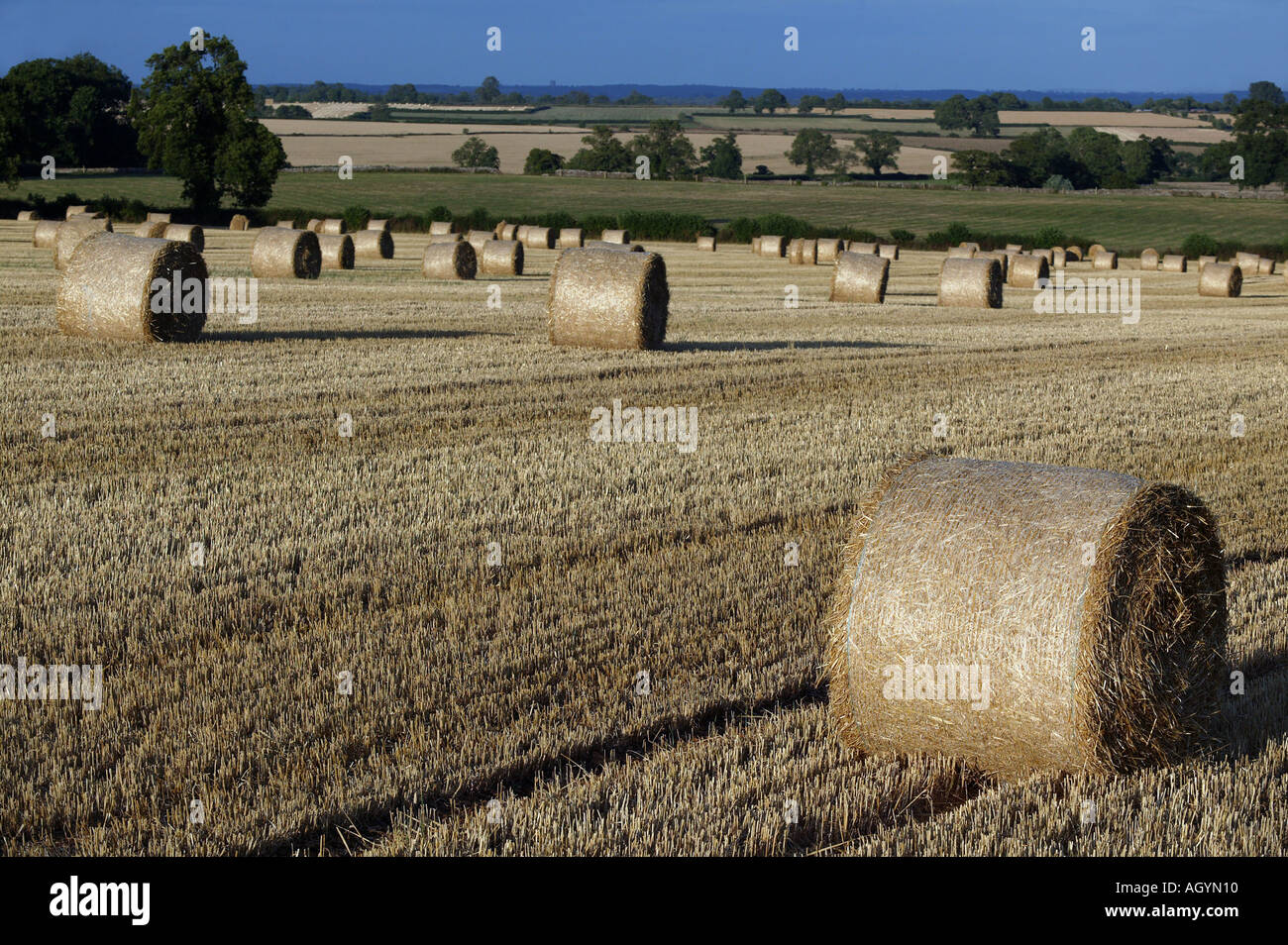 Regular Round Agriculture High Resolution Stock Photography and Images ...