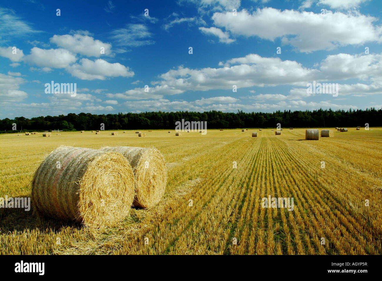 Hay feild hi-res stock photography and images - Alamy