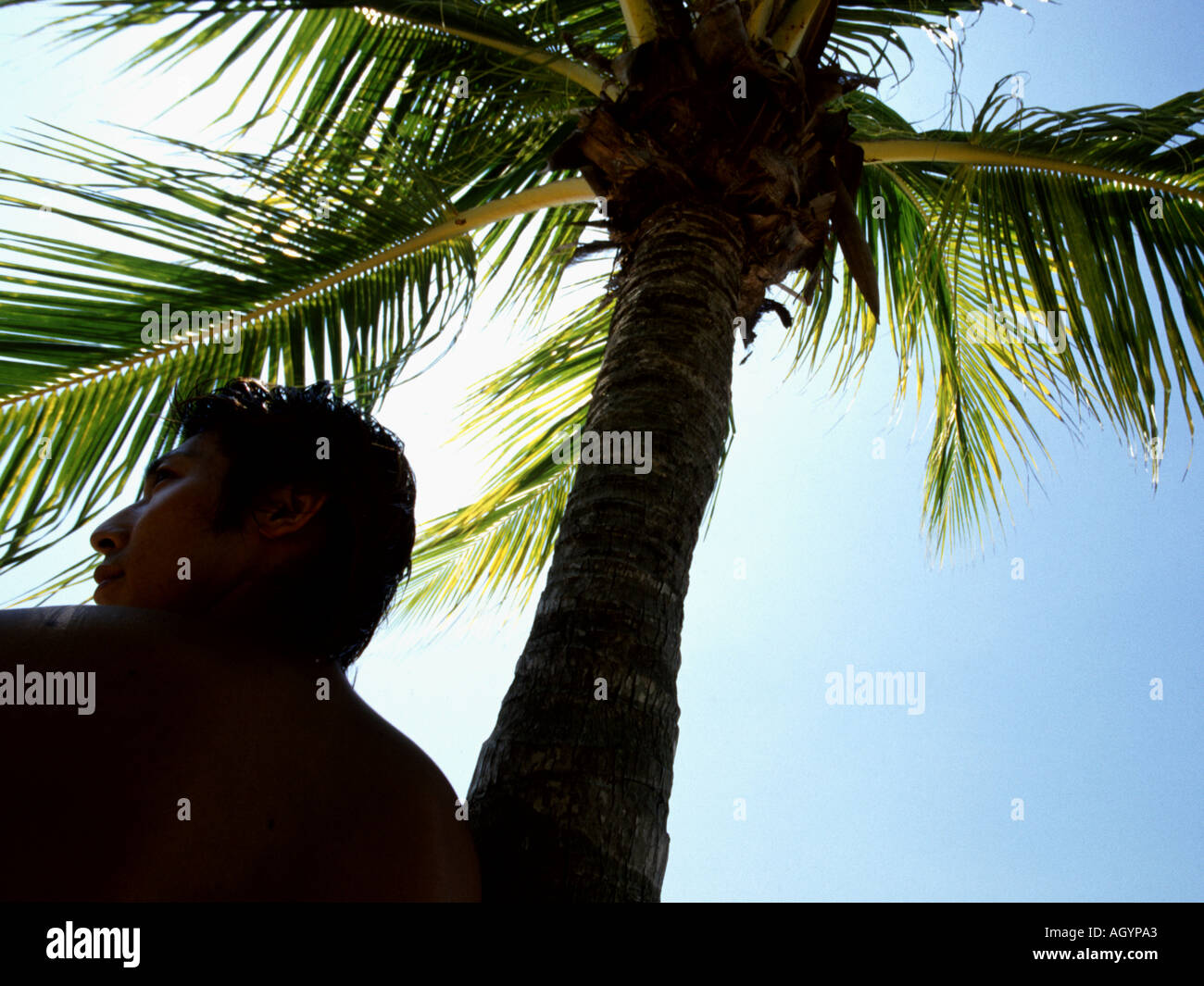 Man leaning against tree silhouette hi-res stock photography and images ...