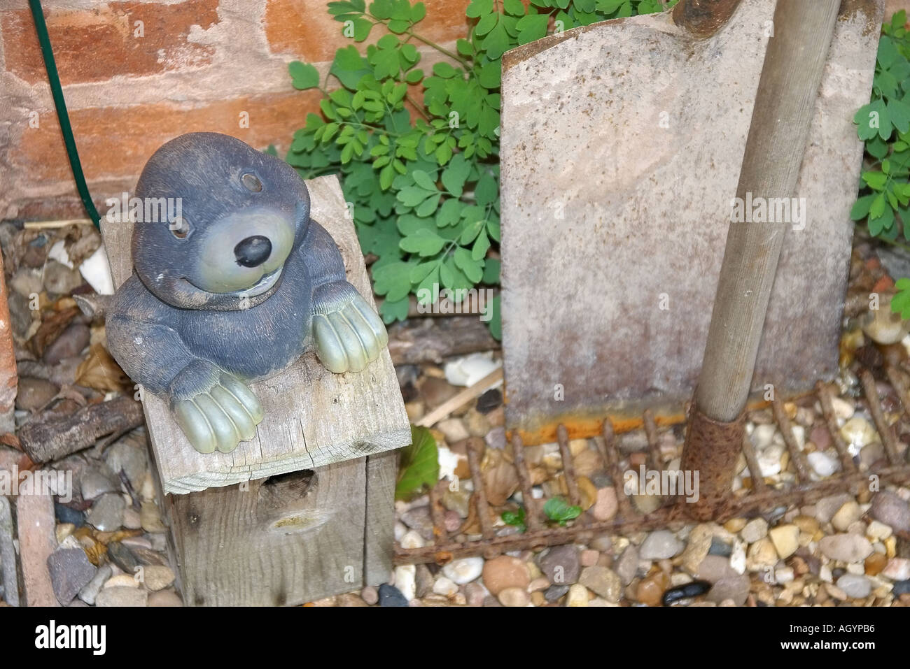 cottage garden after rain Stock Photo - Alamy