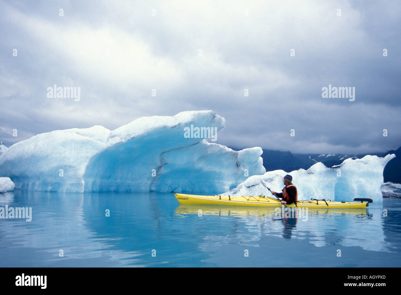 kayaker paddling around large ice floes in Bear Glacier lake Kenai ...