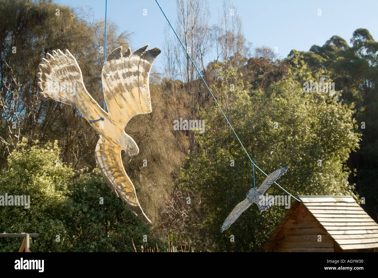 Scarers hi-res stock photography and images - Alamy