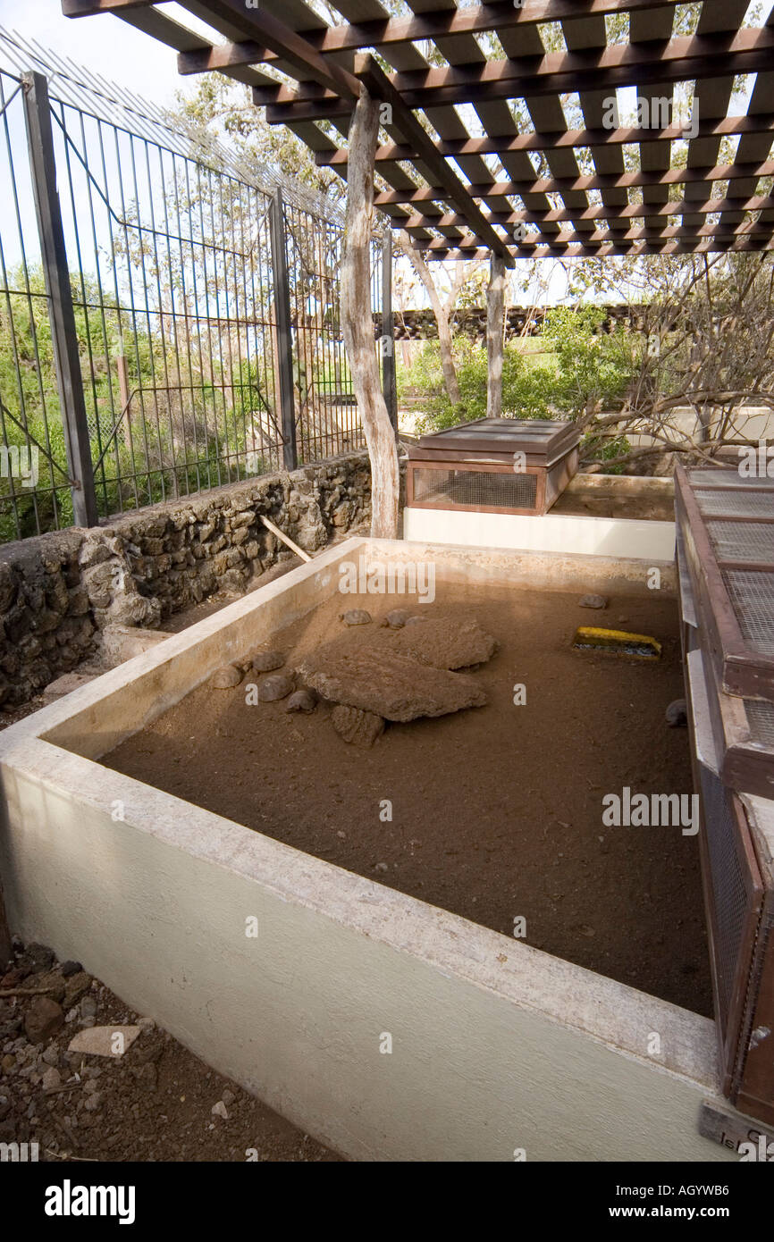 Tortoise Breeding Centre High Resolution Stock Photography and Images ...