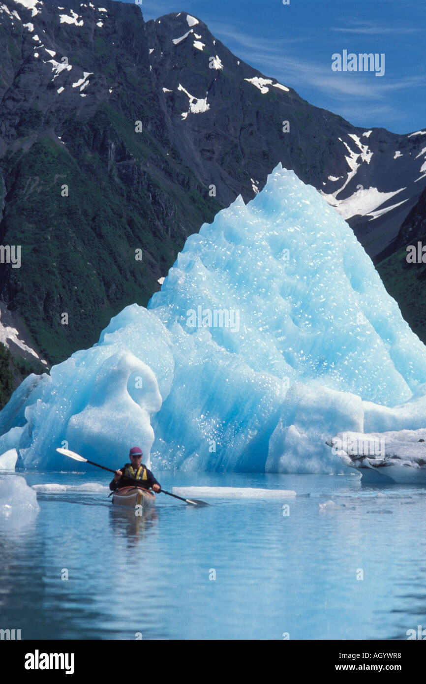kayaker paddling around large ice floes in Bear Glacier lake Kenai ...