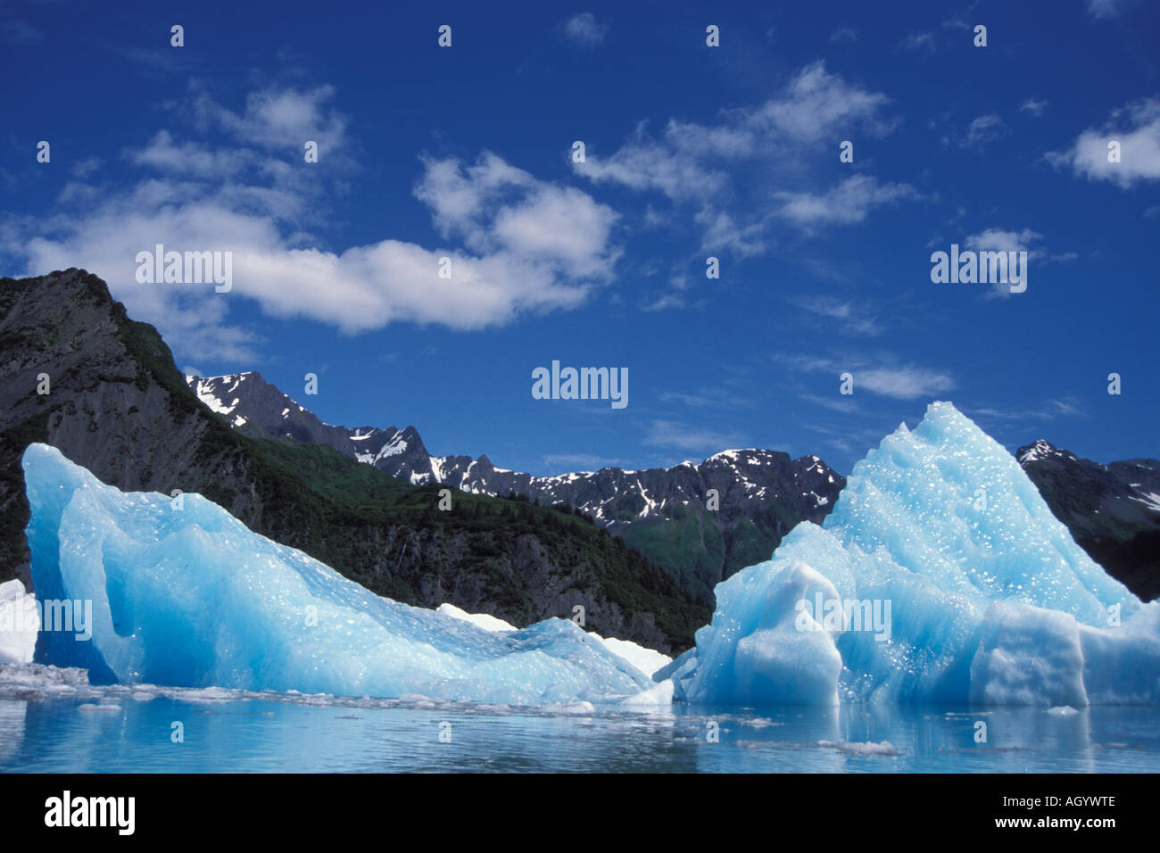 giant icebergs in Bear Glacier lake southcentral Alaska Stock Photo - Alamy