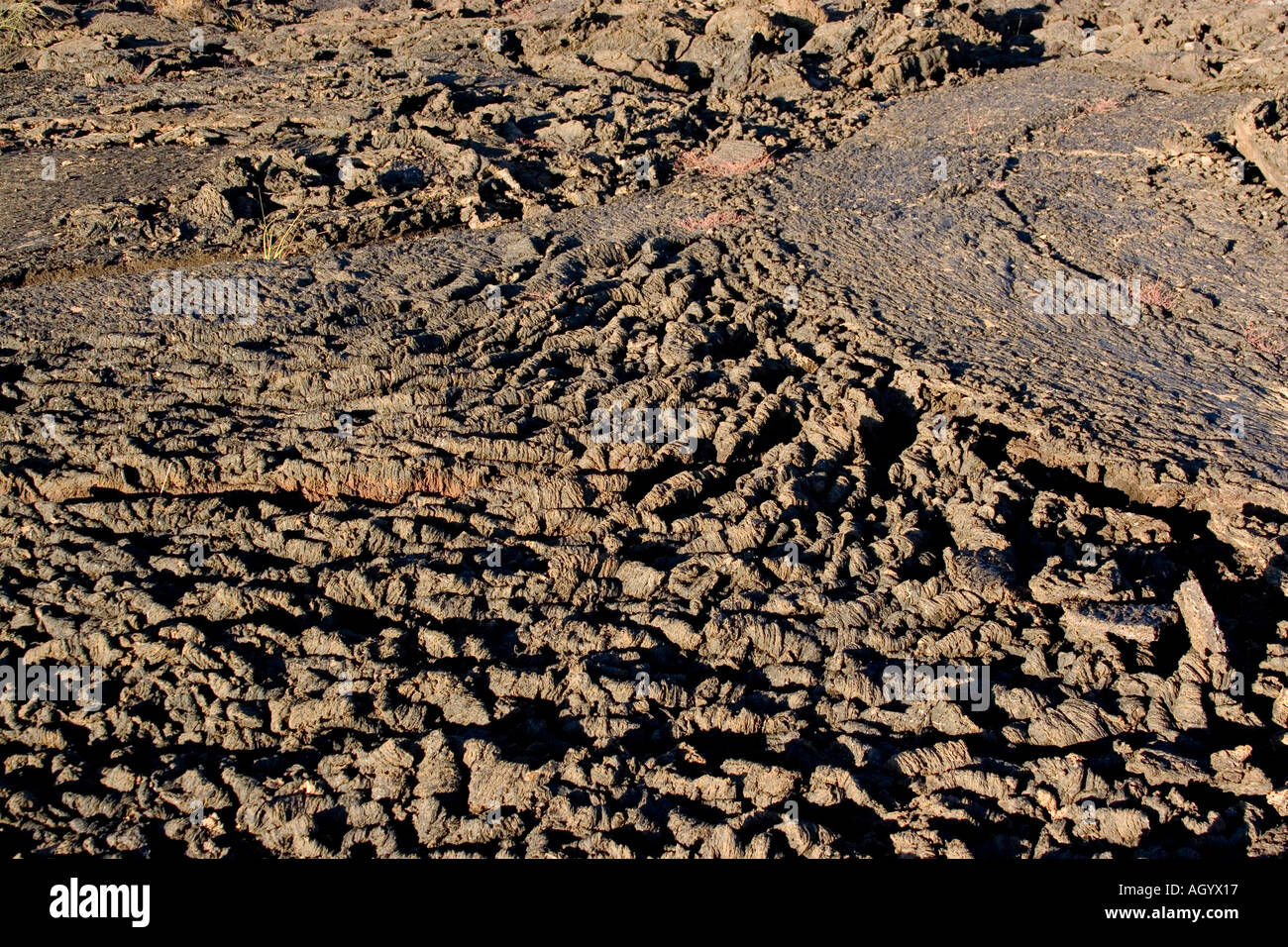 Galapagos pahoehoe lava hi-res stock photography and images - Alamy
