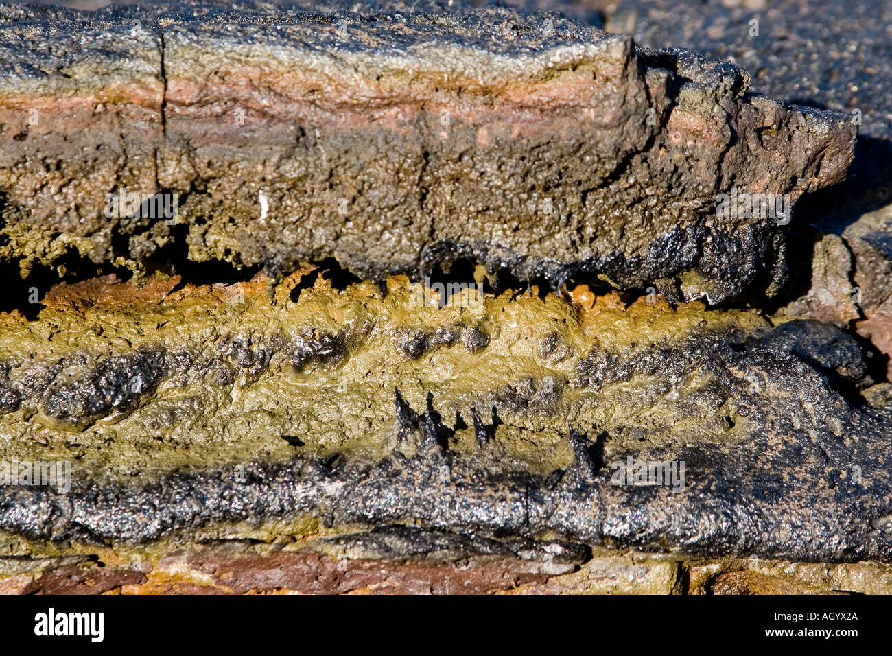 Lava Galapagos cross section pahoehoe volcanic Stock Photo - Alamy