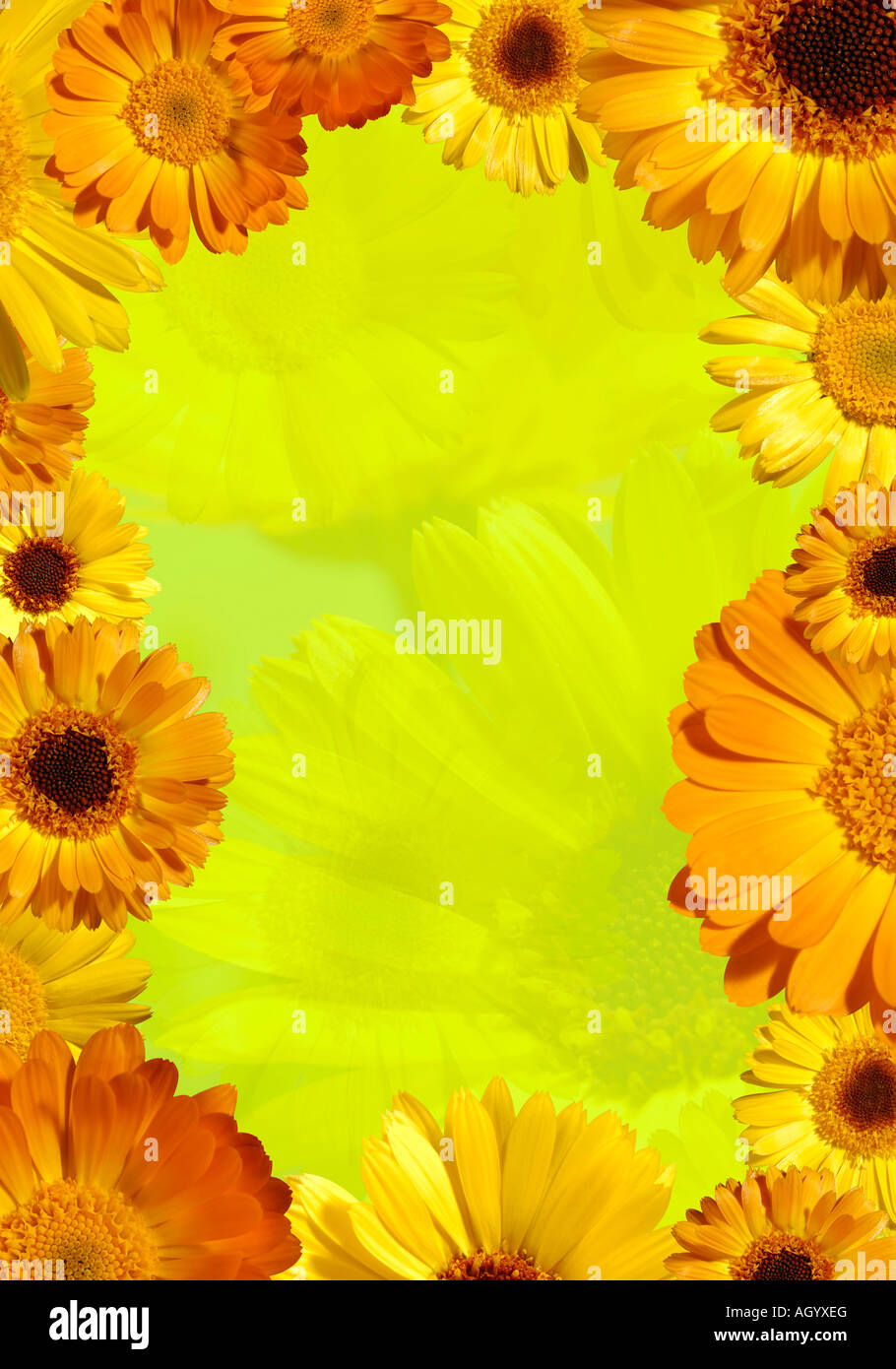 Flower border frames hi-res stock photography and images - Alamy