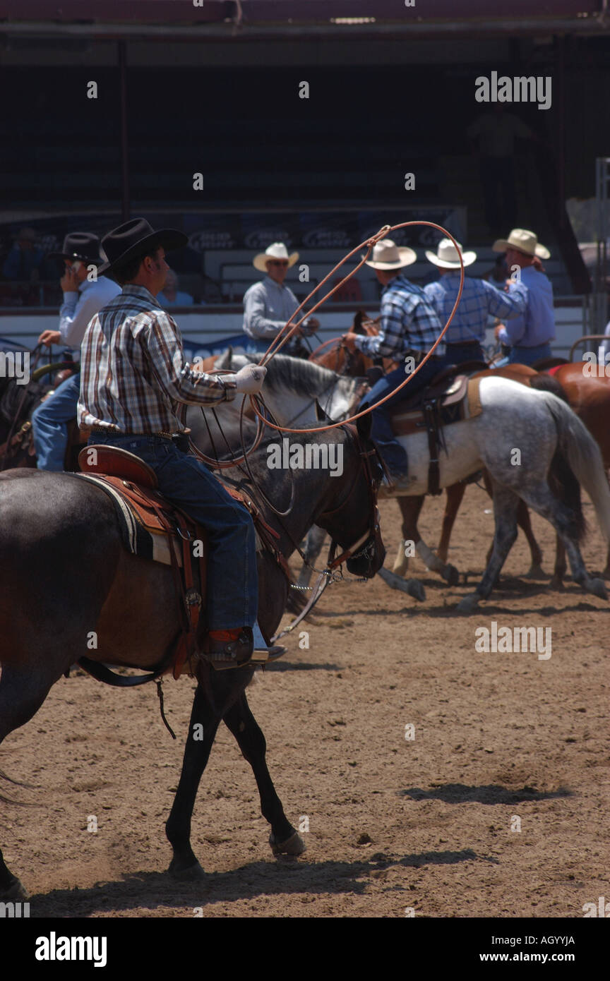 Its all rodeo hi-res stock photography and images - Alamy