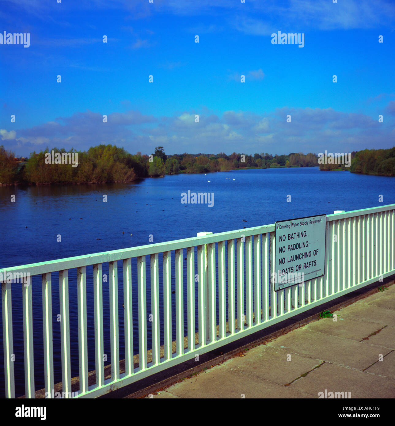 Alton water reservoir Suffolk England Stock Photo - Alamy