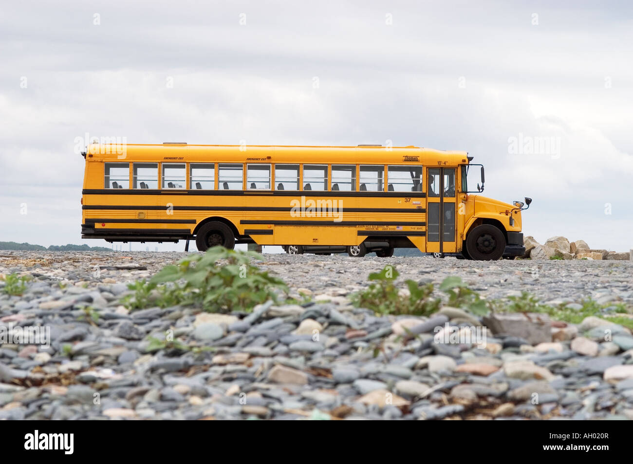 American school bus Stock Photo - Alamy