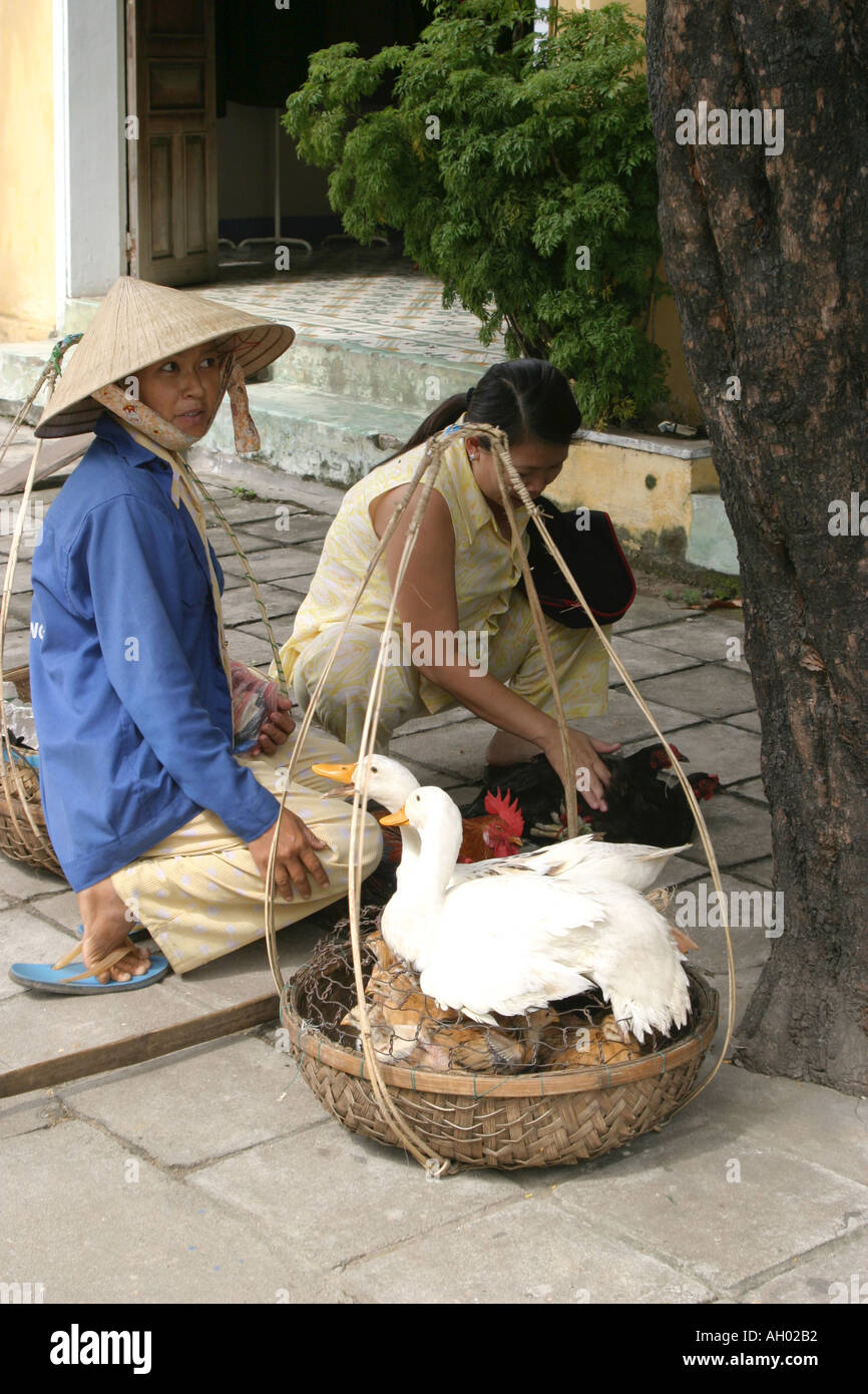 Duck lady sells her birds in world heritage town Hoi An Faifu Vietnam ...