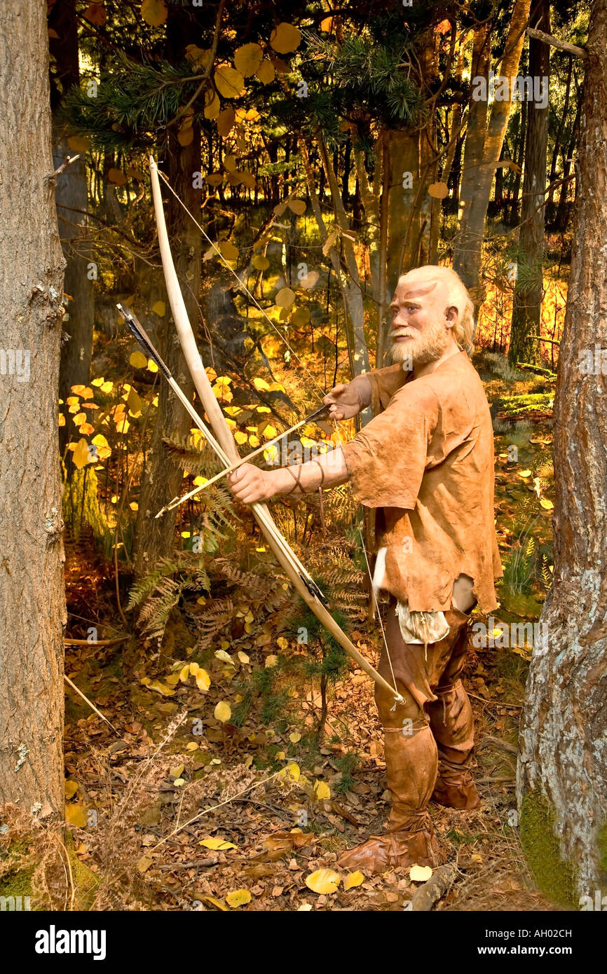 Man shooting arrow in archery hunting Stock Photo - Alamy