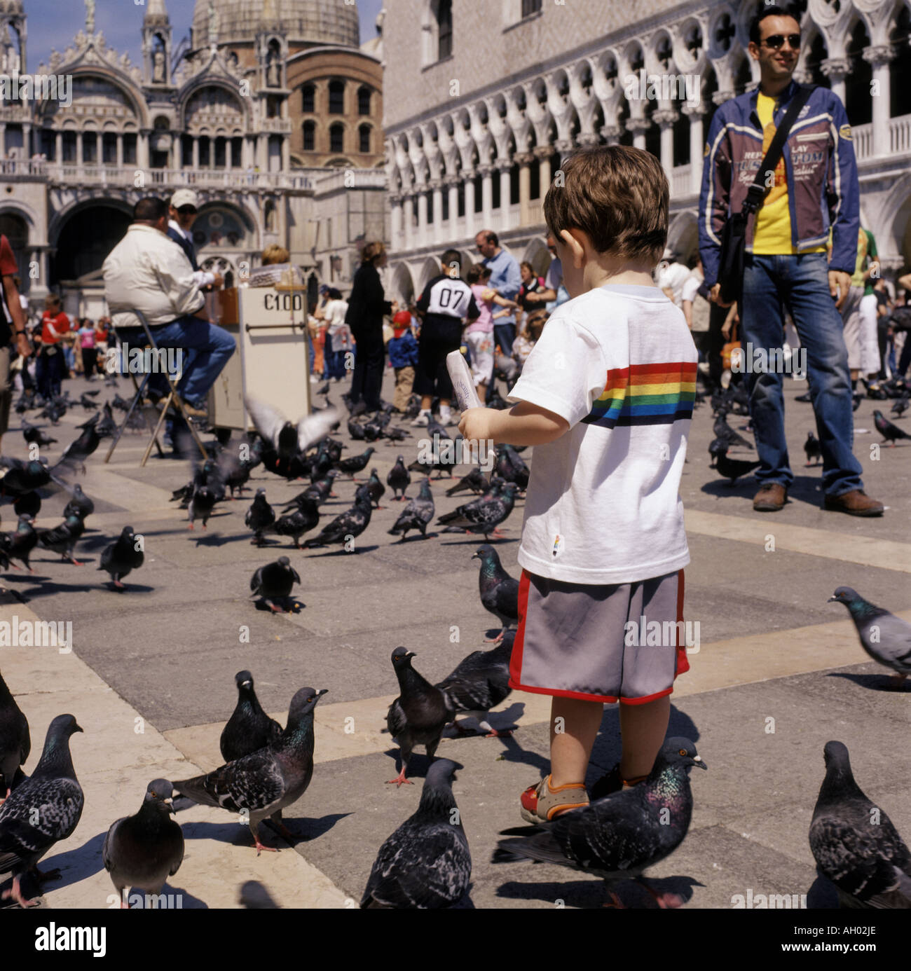 Pigeons in venice at the palazzo ducale hi-res stock photography and ...