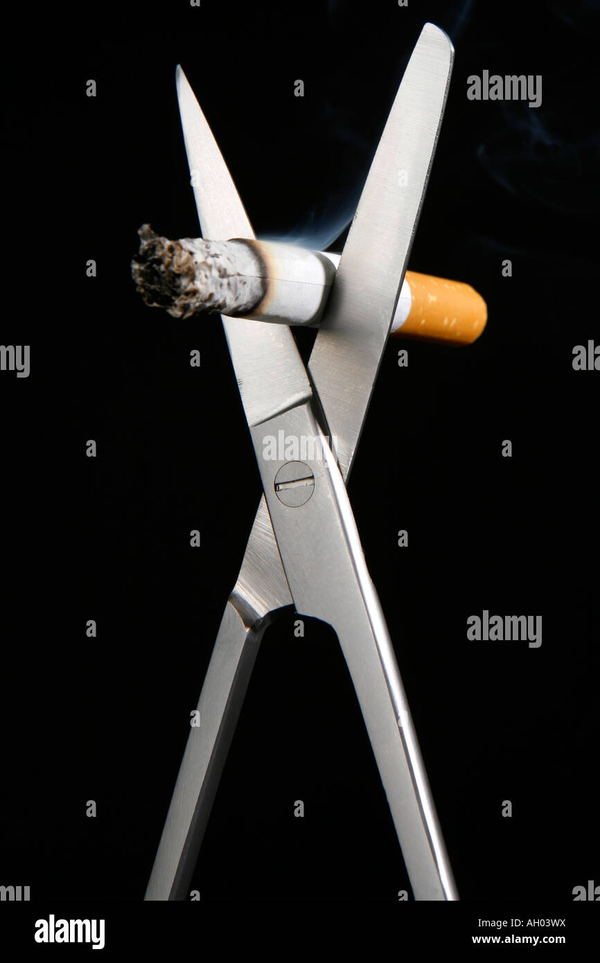 Picture shows a cigarette being cut by a pair of scissors Stock Photo ...