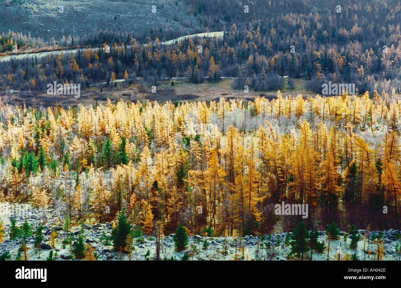 Aerial photo of boreal forest hi-res stock photography and images - Alamy
