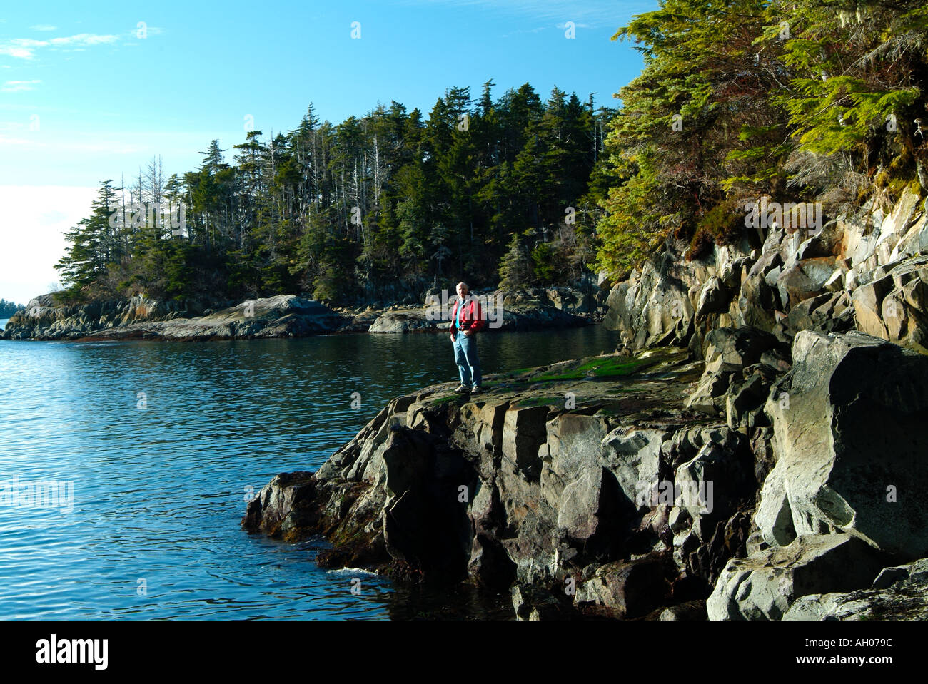 Person looking out over the ocean Stock Photo - Alamy