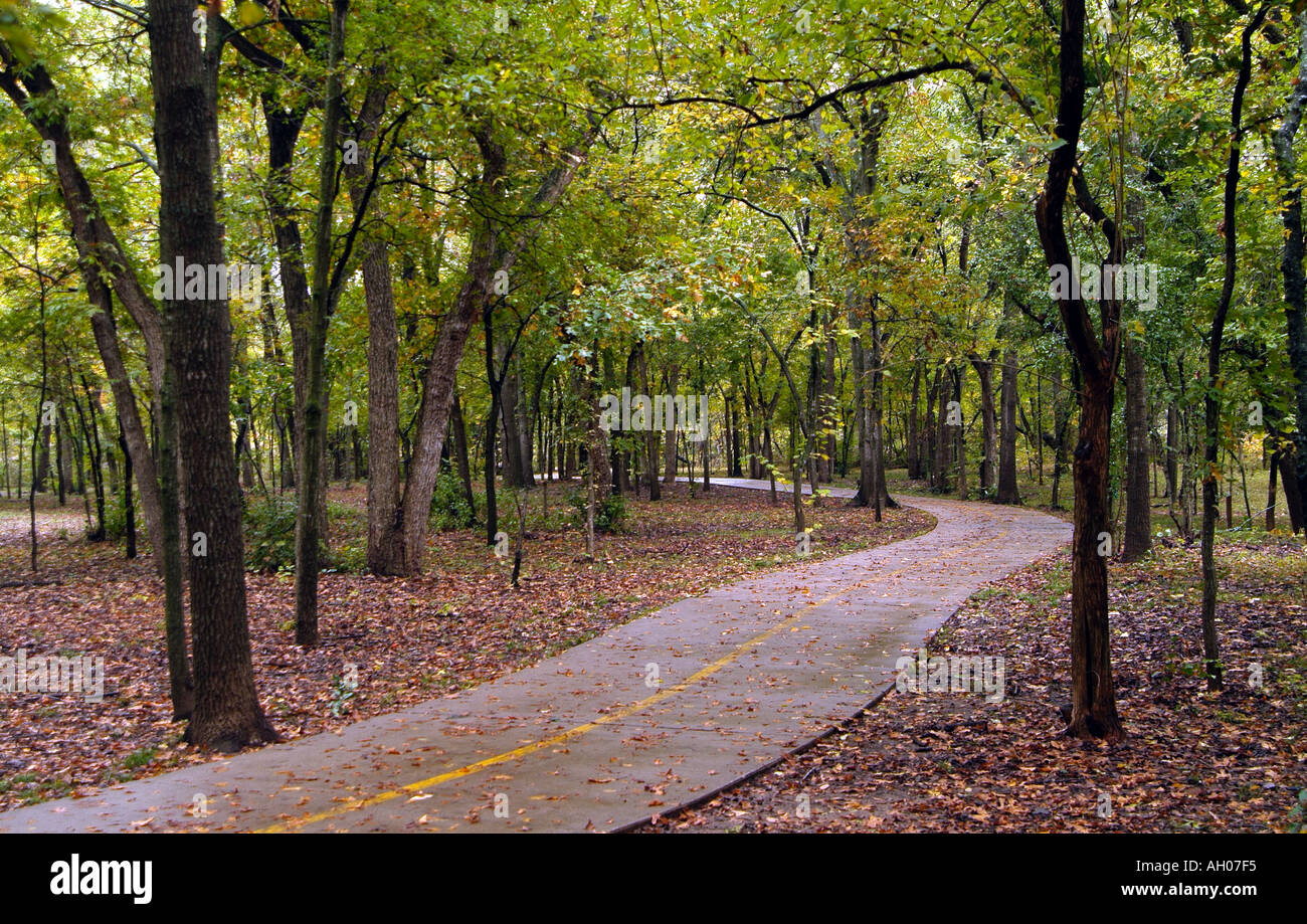 Walking path through the woods Stock Photo - Alamy