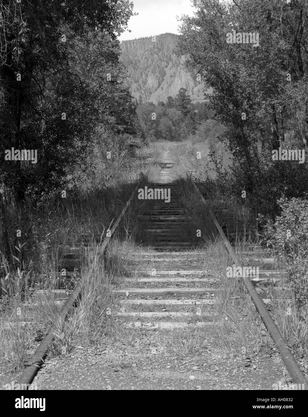 Railroad Tracks Through Rocky Mountains High Resolution Stock ...