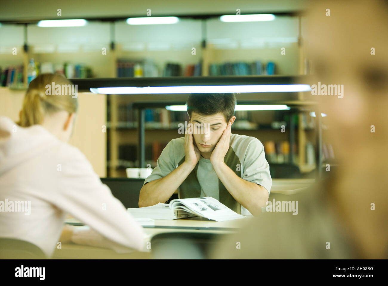Students studying in library Stock Photo - Alamy