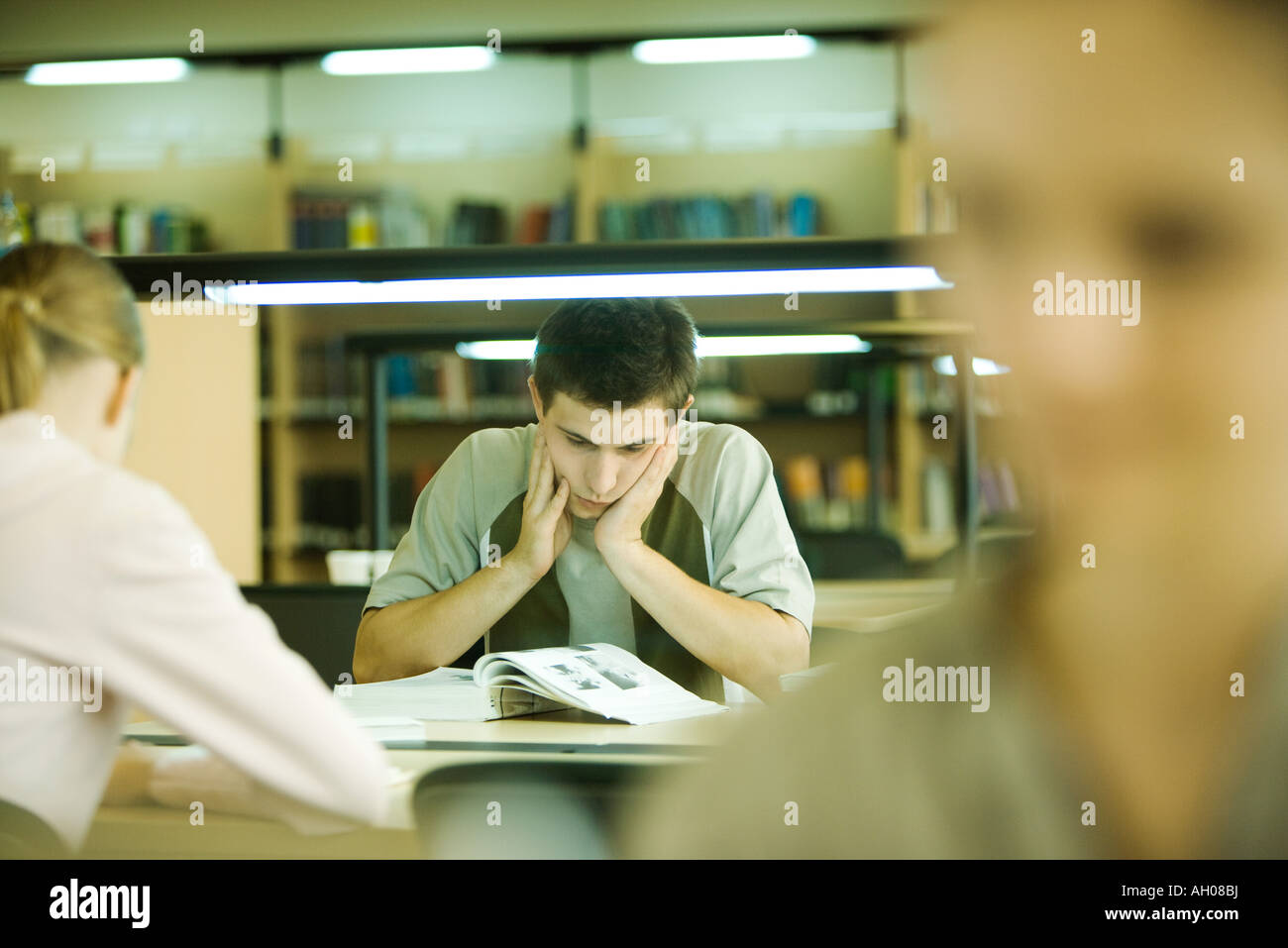 Students studying in library Stock Photo - Alamy