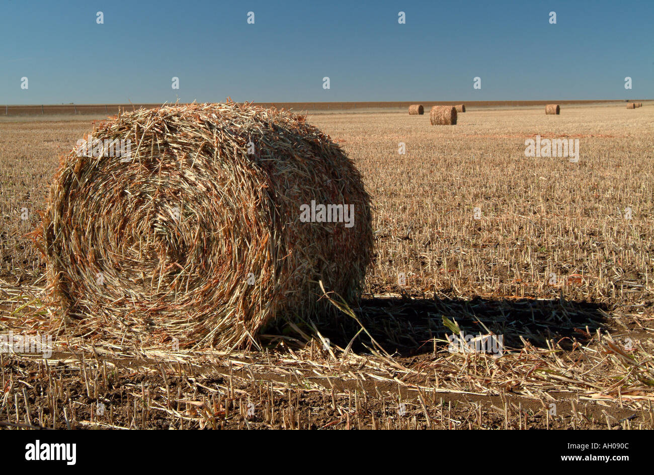 Cut texas hi-res stock photography and images - Alamy