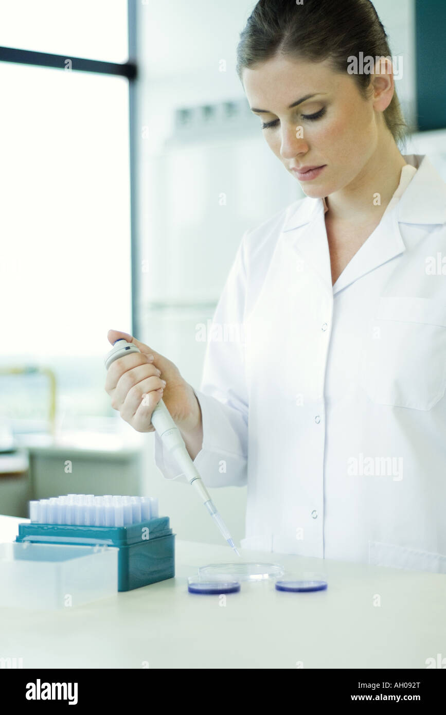 Female lab worker dropping solution into Petri dish Stock Photo - Alamy