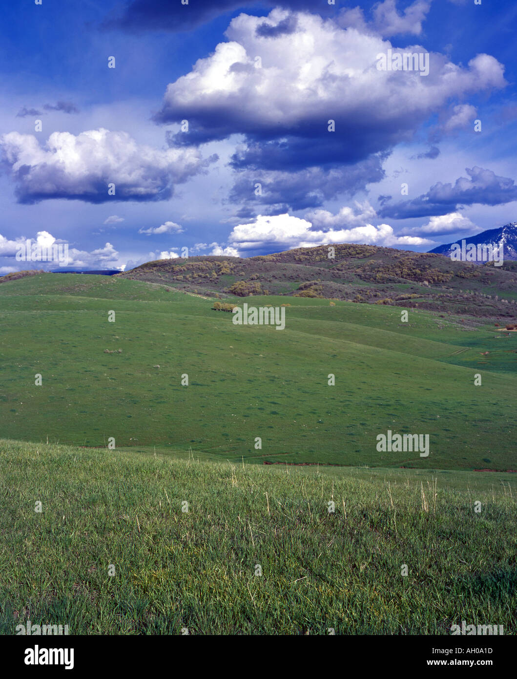 Rolling fields in Utah Stock Photo - Alamy