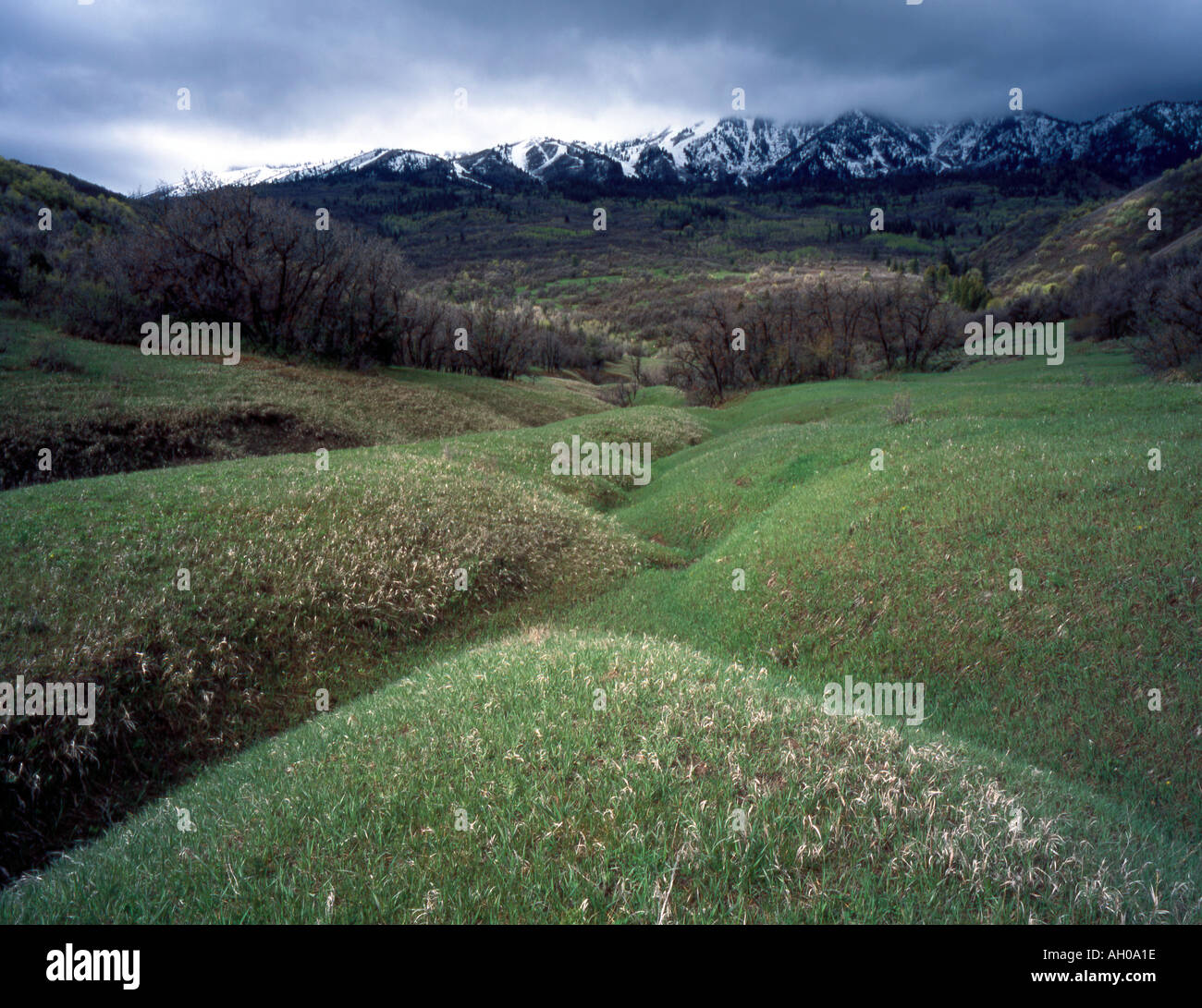Rolling fields in Utah Stock Photo - Alamy