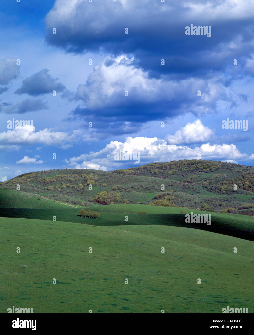Rolling fields in Utah Stock Photo - Alamy