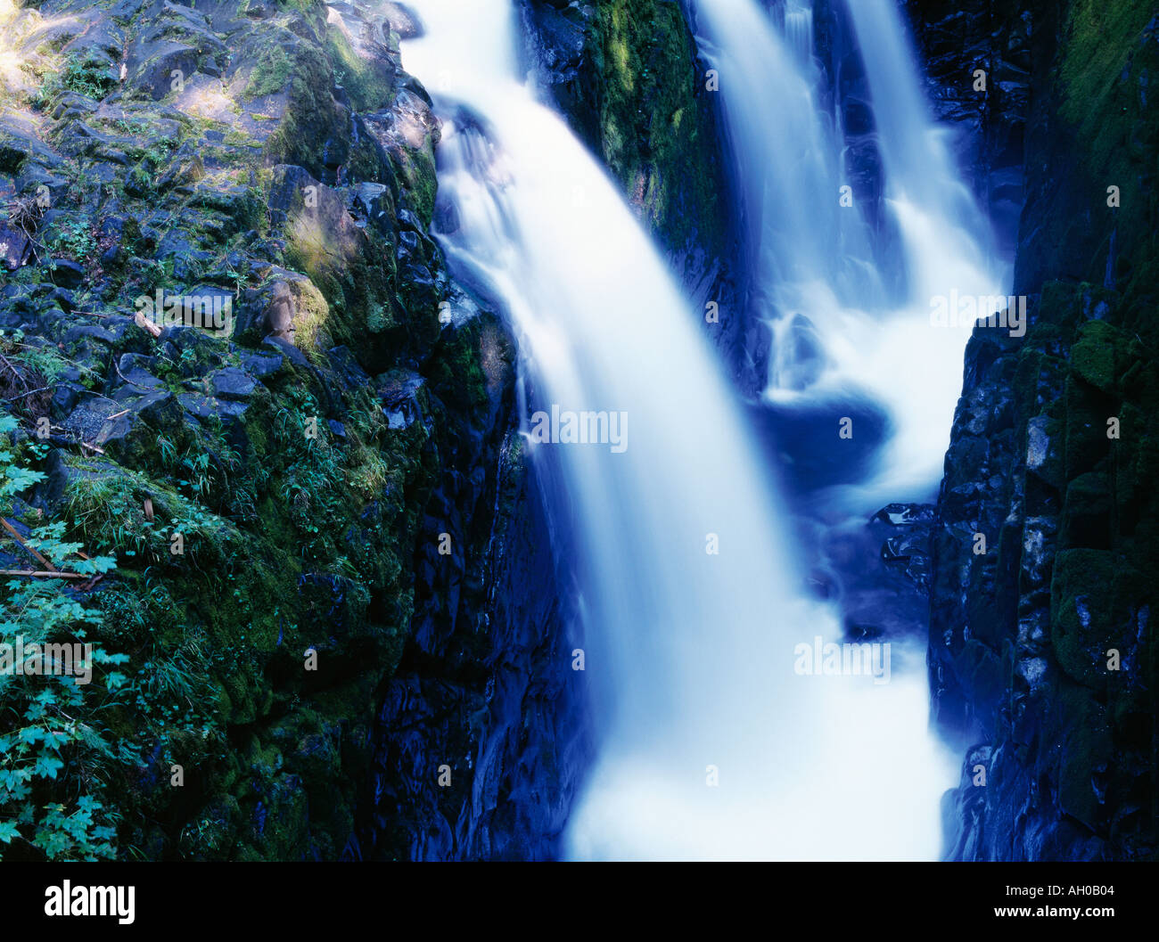 The Sol Duc Falls of Washington State USA 1998 Stock Photo - Alamy