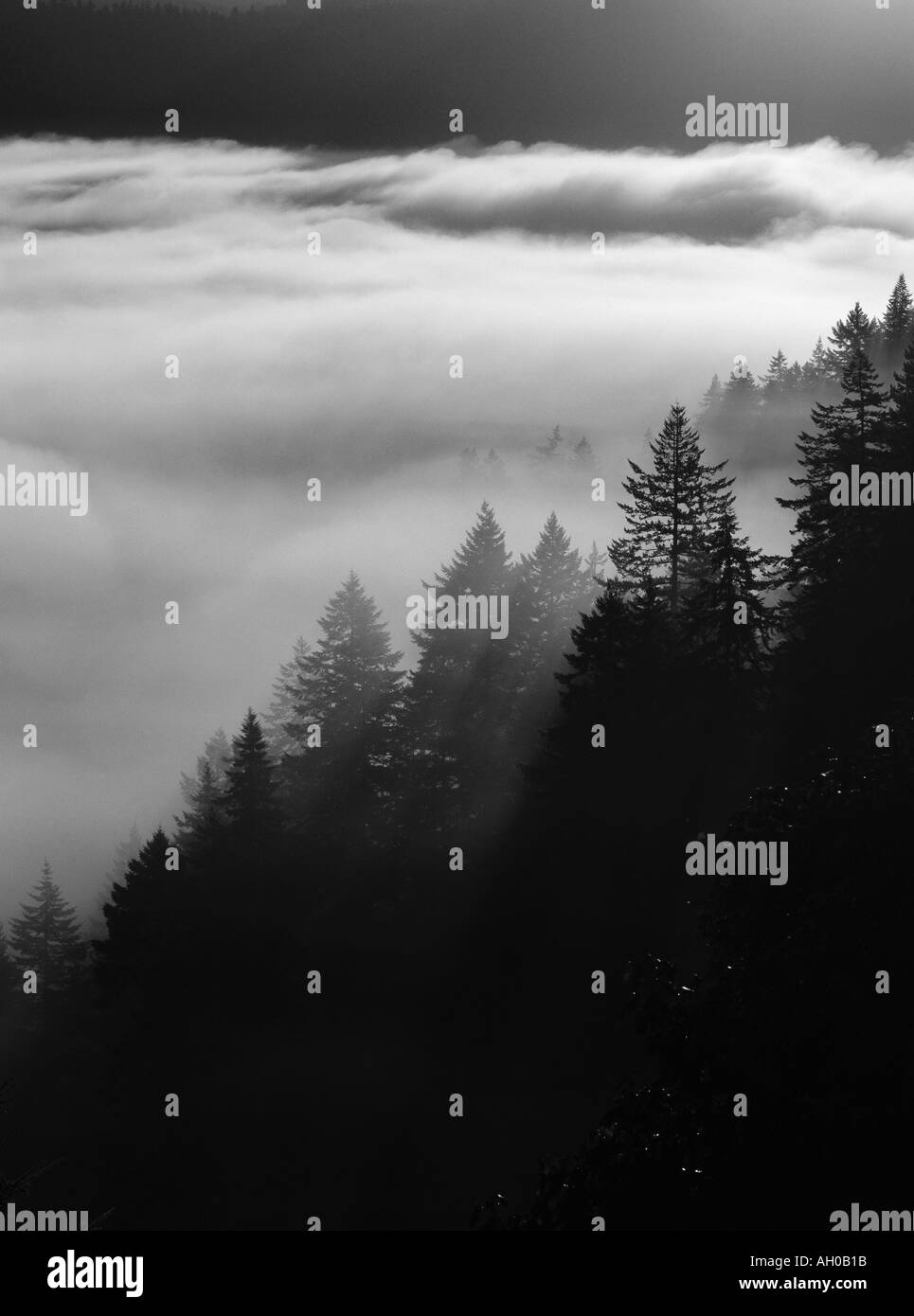 Images from above Black and White Stock Photos & Images - Alamy