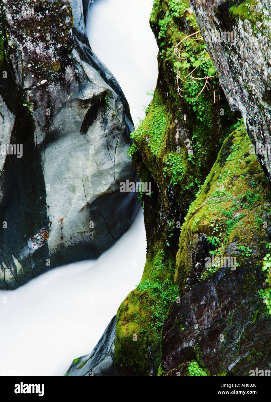 Box Canyon at Mt Rainier National Park 1993 Stock Photo - Alamy