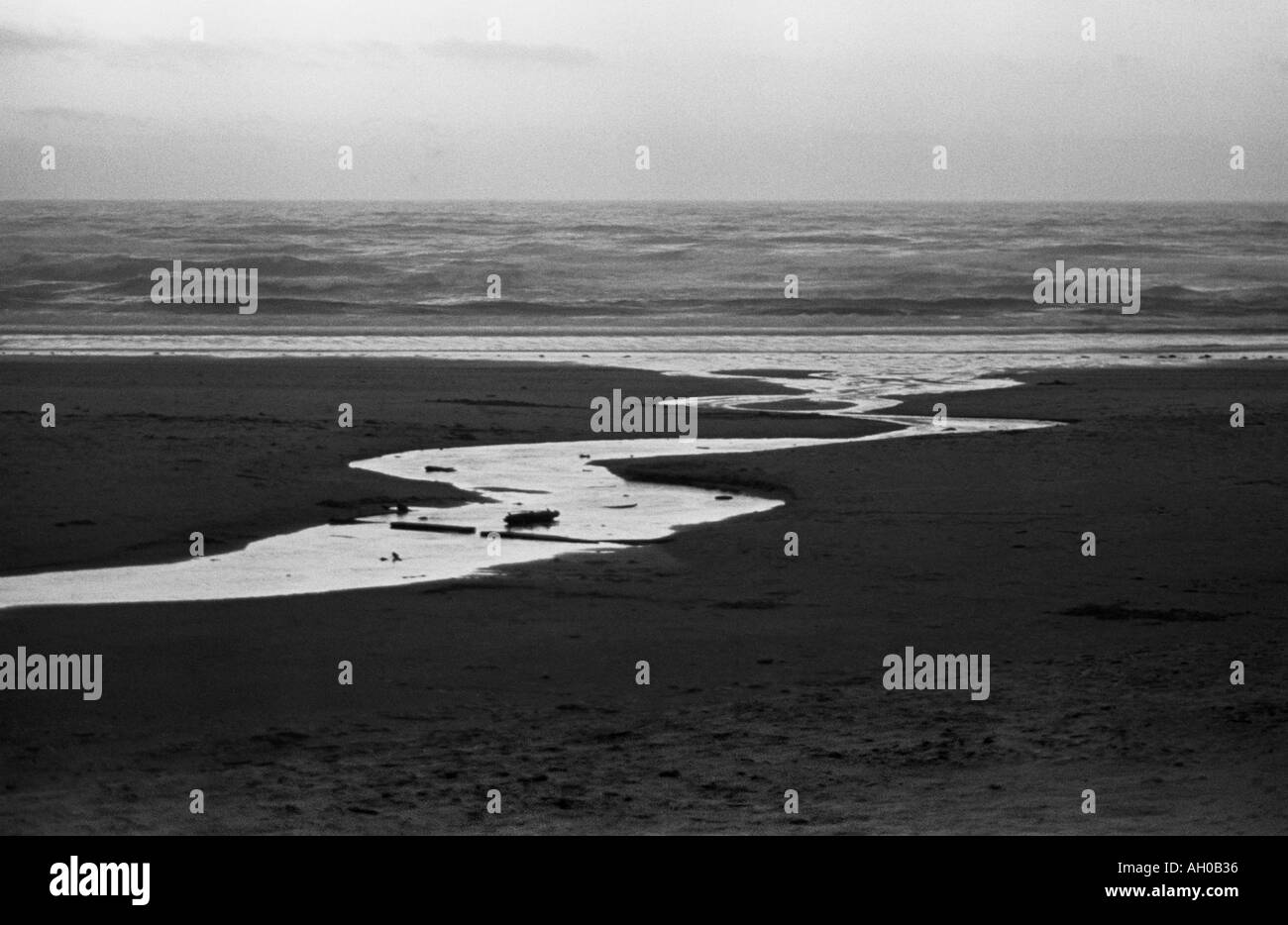 Stream meets sea hi-res stock photography and images - Alamy