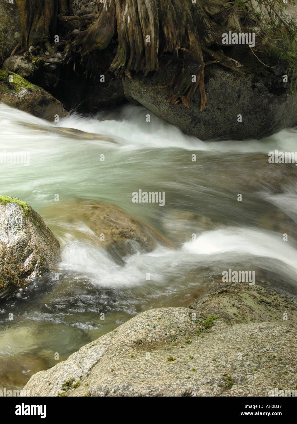 Pacific northwest stream Stock Photo - Alamy