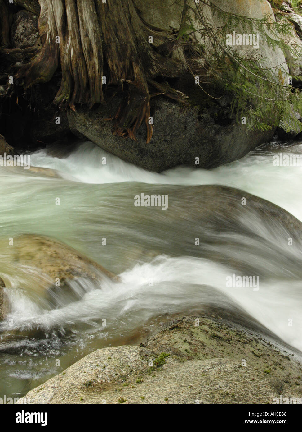 Pacific northwest stream Stock Photo - Alamy