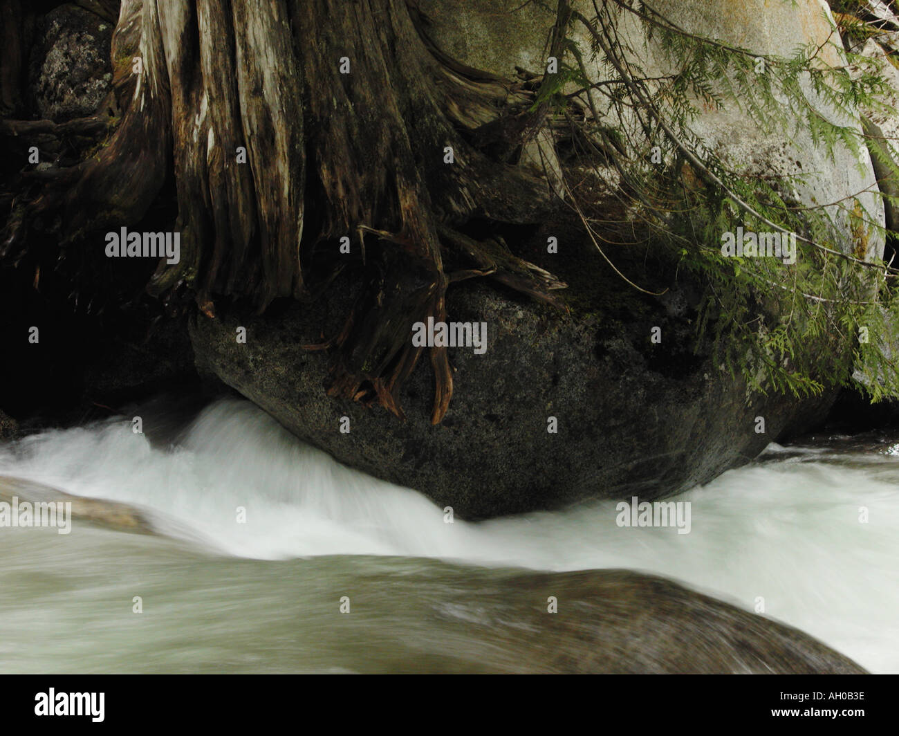 Pacific northwest stream Stock Photo - Alamy