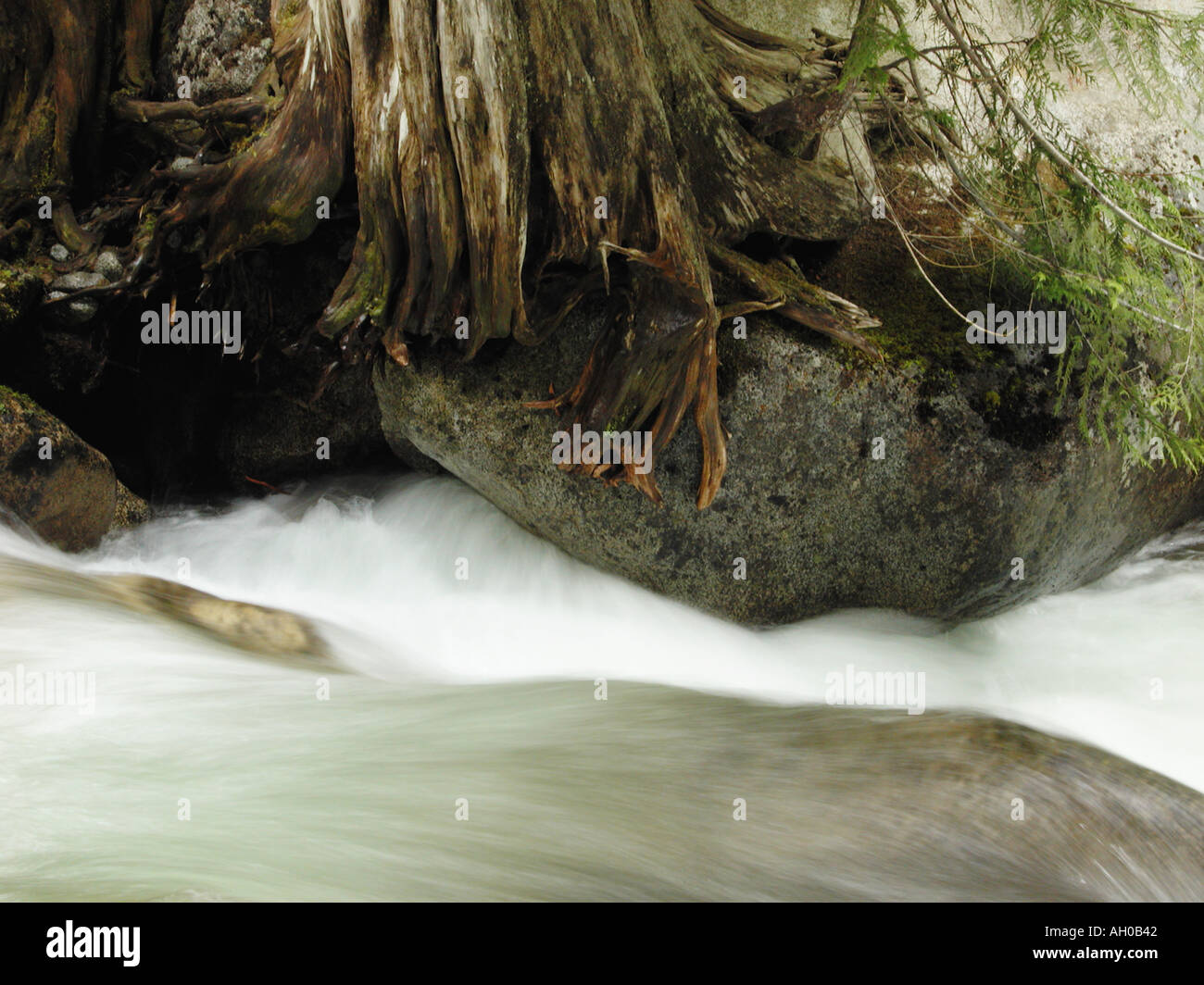 Pacific northwest stream Stock Photo - Alamy