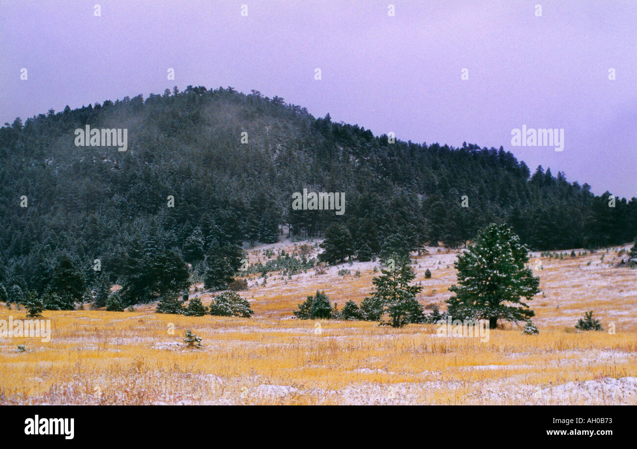 Falcon ridge hi-res stock photography and images - Alamy