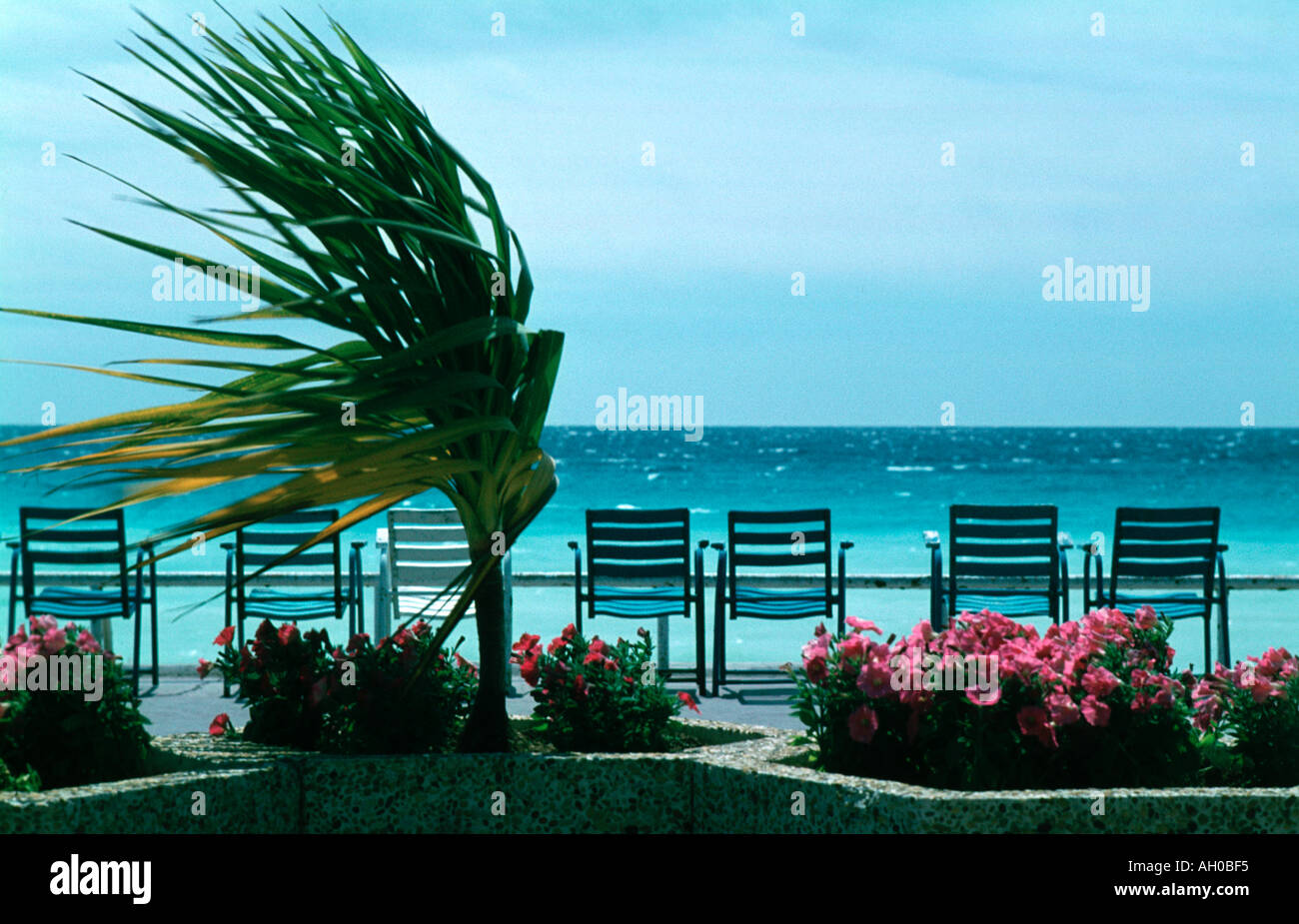 Boulevard des anglais hi-res stock photography and images - Alamy