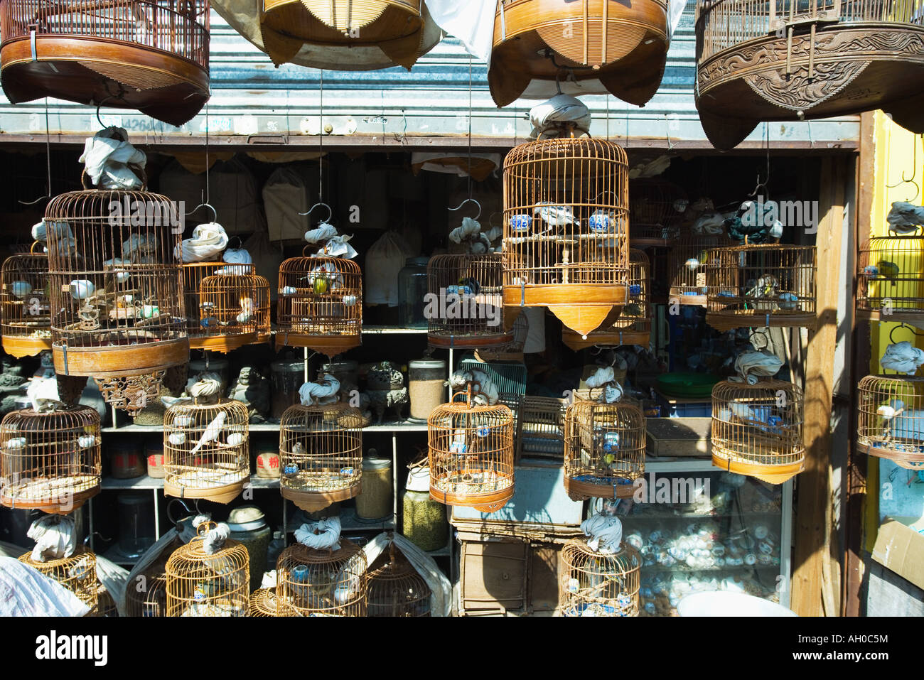 Avian varieties hi-res stock photography and images - Alamy