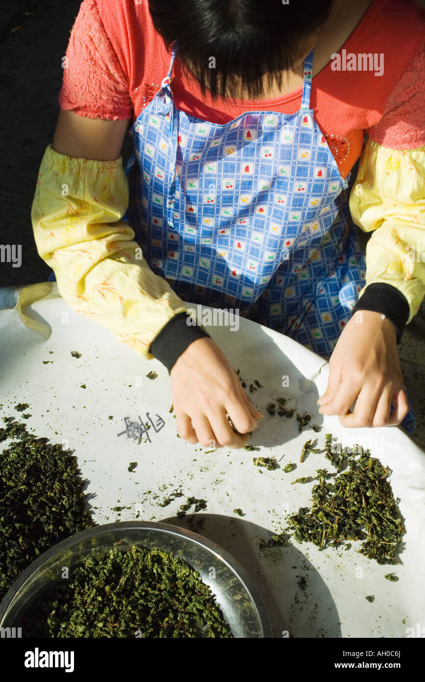 Woman sorting tea leaves, cropped view Stock Photo - Alamy