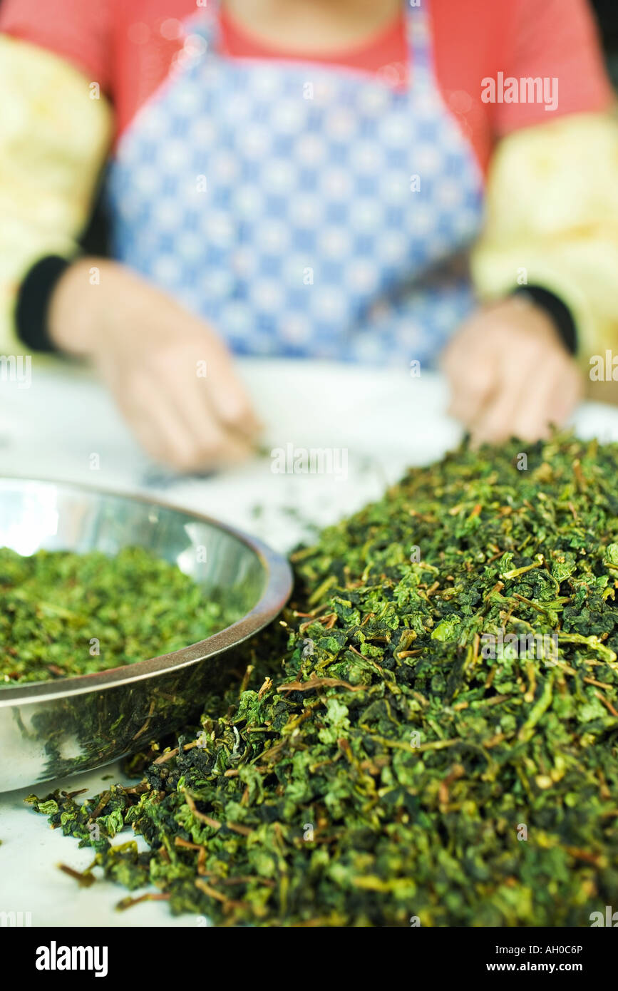 Woman sorting tea leaves, cropped view Stock Photo - Alamy