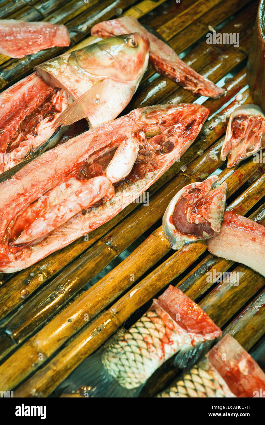 Fish cross cut hi-res stock photography and images - Alamy